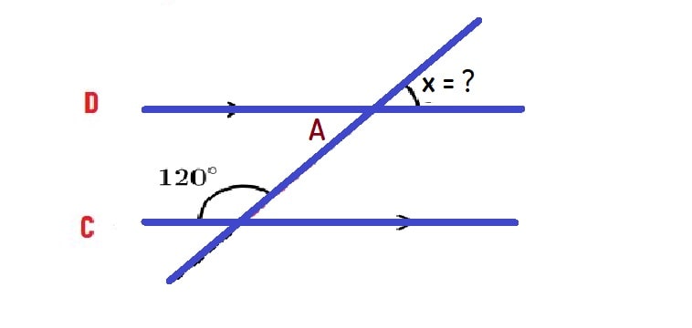IGCSE Math-Week 1-Learning Page